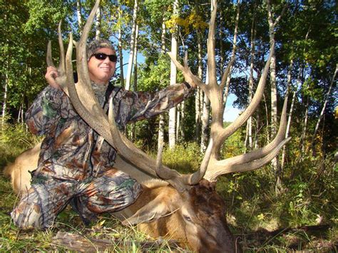 Ultimate Guide To A Thrilling Guided Elk Hunt In Colorado