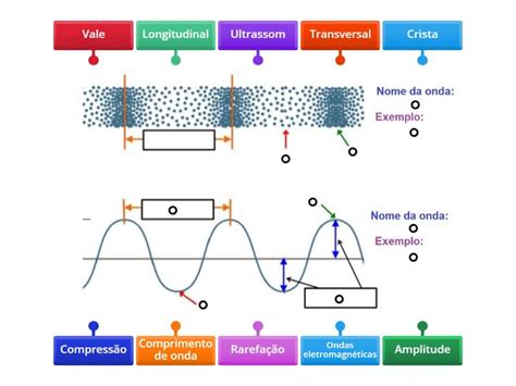 Ondas Longitudinais E Transversais Labelled Diagram