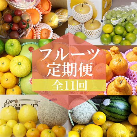 フルーツ定期便（頒布会）【大】【年間一括】 白木果樹園
