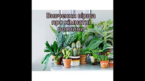 Художня література Вивчення вірша про кімнатні квіти мнемотаблиця