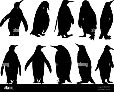 Set Of Penguin Silhouette Stock Vector Image And Art Alamy