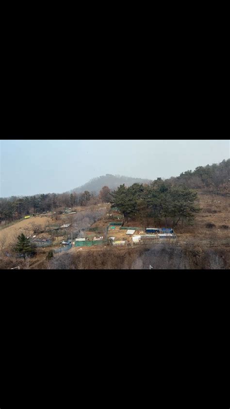 암재활통증재활 성장측만클리닉 행복한재활의학과 환자분들과 20년간 살다 보니 참 혼자만 경험하기 아까운 좋은