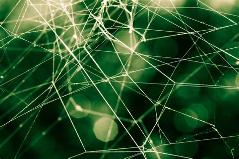Automatic Knowledge Graphs The Impossible Grail By Patrick Meyer