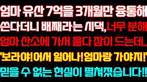 반전 신청사연 엄마유산 7억을 3개월만 융통해 쓴다더니 먹튀한 시댁 너무분해 엄마산소 가서 울다 잠이드는데믿을수없는 현실이 펼쳐졌습니다실화사연낭독드라마라디오