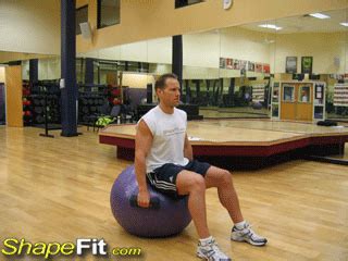 Exercise Ball Exercises Guides With Photos And Instructions
