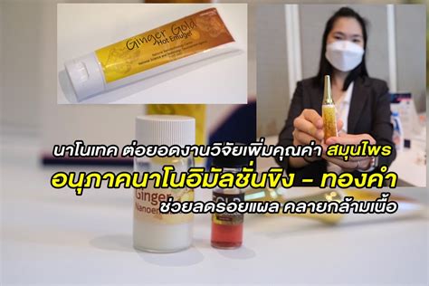 นาโนเทค สวทช พัฒนา “อนุภาคนาโนอิมัลชั่นขิง ทองคำ” ผลักดันงานวิจัยเพิ่ม