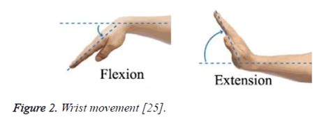 classification of eeg signals for wrist and grip movements using echo