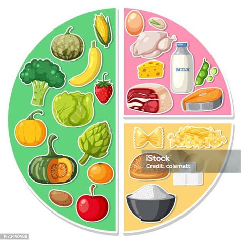 Macronutrients Diagram With Food Ingredients向量圖形及更多宏量營養素圖片 宏量營養素