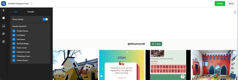 Elfsight Widget Doesnt Work Correctly On My Site General Questions