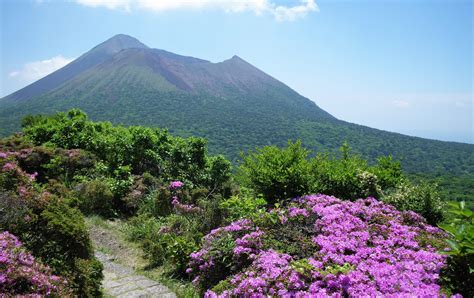 Travel Japan