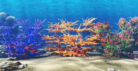 3d Model Coral Reef Marine Life Turbosquid 2341628