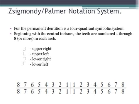 My Dental Notes On Tumblr