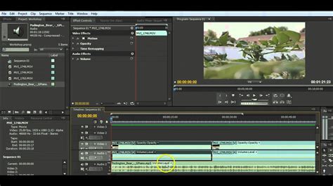 Introducing Adobe Premiere Pro CS Basic Video Editing Tutorial YouTube