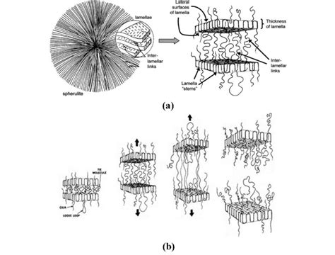 A Schematic Structure Of A Single Spherulite Lamella Crystal And