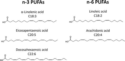 Polyunsaturated Fatty Acids Haktan Bozer