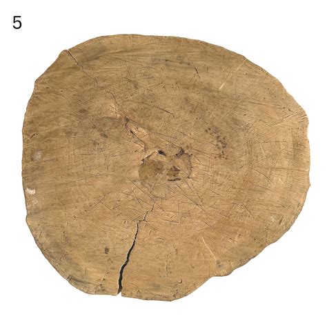 Elm Tree Trunk Side Table Acumen Collection Acumen Collection