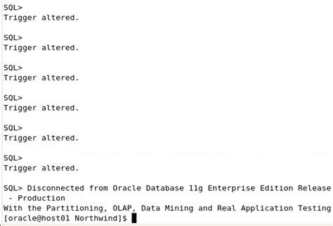 Migrating A Microsoft Access Database To Oracle Database 11g