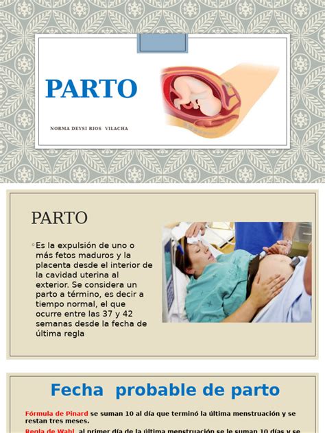 Embarazos Múltiples Pdf El Embarazo Parto