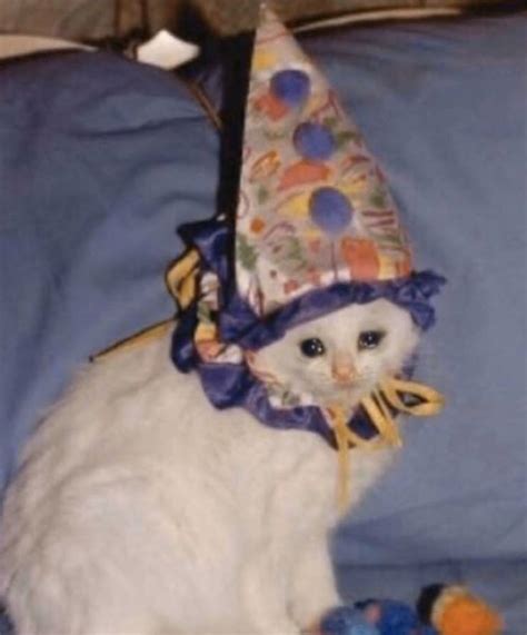 Happy Birthday Cat With Party Hat