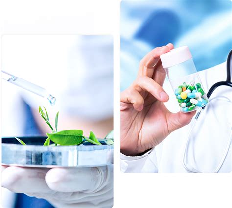 湖南中嘉生物医药有限公司 高品质药物研发 新药研发