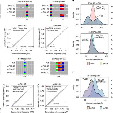Systematic Analysis Of Base Calling And Mapping Algorithms For The