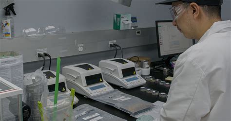 How Moisture Content Affects Potency Encore Labs