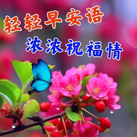 最新早上好表情包动图好运常在、笑颜常开