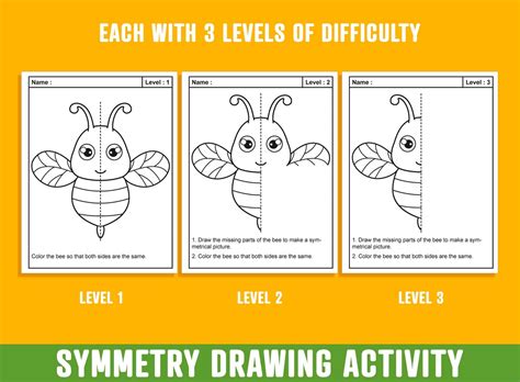 Symmetry Drawing Lines Of Symmetry Activity 24 Pages 8 Designs Each With 3 Levels Of