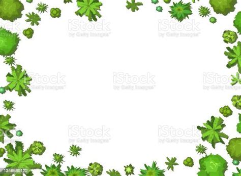 숲속의 글레이드 텍스트가 있는 프레임입니다 나무와 관목 위에서 볼 수 있습니다 식물 풍경 맨 위 보기입니다 높이 만화 스타일의 일러스트레이션 흰색 배경 벡터에서 격리 0명에