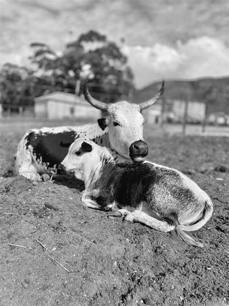 Bkb Photo Competition 2022 Agricultural Writers Sa