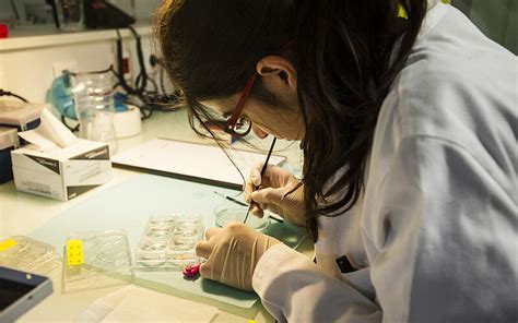 Adum Sur Linkedin Appel à Candidatures Cifre Des Doctorants Au Cœur