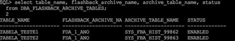 flashback data archive oracle brasil