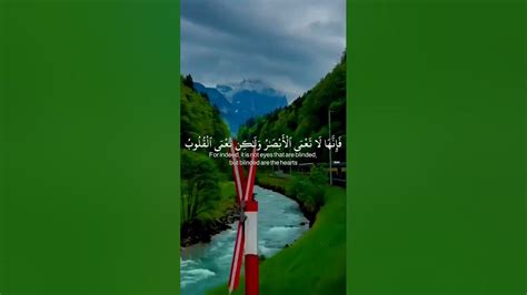 أفلم يسيروا في الأرض فتكون لهم Youtube