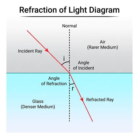 Premium Vector Refraction Of Light Diagram Physics Education Science Vector Illustration