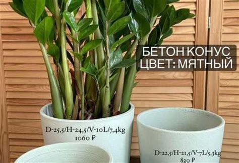 Бетонный горшок для цветов | Festima.Ru – частные объявления