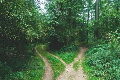 Conditional Random Field Tutorial In Pytorch 🔥 By Freddy Boulton