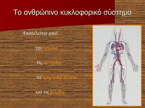 ΤΟ ΚΥΚΛΟΦΟΡΙΚΟ ΣΥΣΤΗΜΑ ΤΟΥ ΑΝΘΡΩΠΟΥ Ppt κατέβασμα