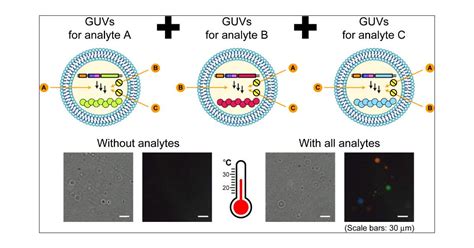Simultaneous Detection Of Multiple Analytes At Ambient Temperature Using Marcelo Lavor