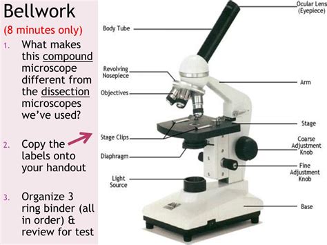 Compound Microscope Diagram Without Labels