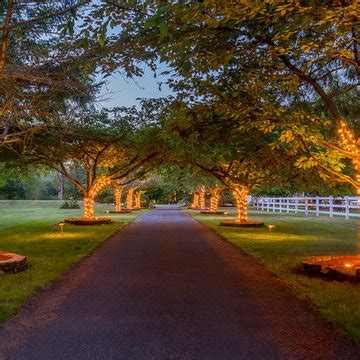Tree Lined Driveway Photos Ideas Houzz