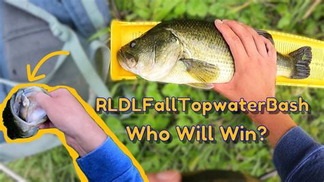 Topwater Bass Fishing Tournament Frog Fishing For Big Largemouth Bass