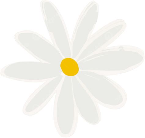 Dibujos Para Colorear De Margaritas Vector Png Dibujo De Flores Sexiz