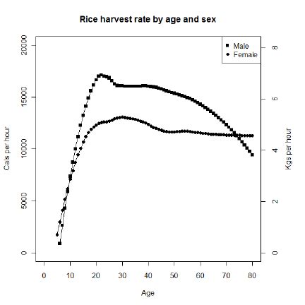 Rice Harvested Per Hour By Age And Sex Download Scientific Diagram