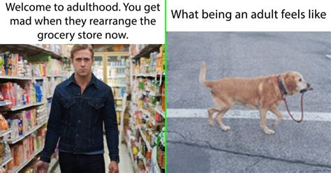 45 Hilariously Relatable Adulting Memes To Survive This Weeks Madness March 5 2024