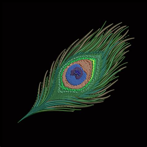 Peacock Feather Designs