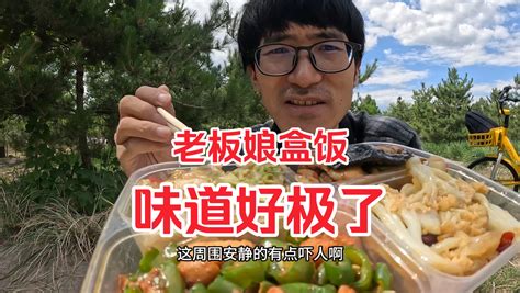 视频去哪了呢？哔哩哔哩bilibili