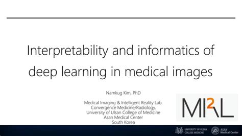 Interpretability And Informatics Of Deep Learning In Medical Images3 Ppt