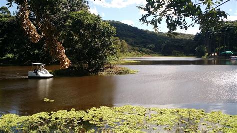 Registro De Marcas Em Pacoti Ce Registrar Marca Ceará Consolide Registro De Marcas