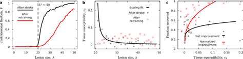 Second Order Phase Transition Mediating Som Reorganization After Download Scientific Diagram