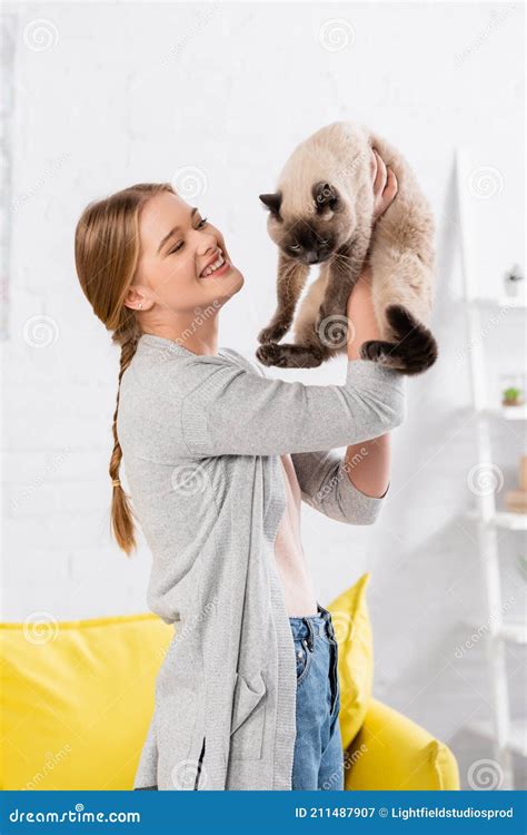 Smiling Woman Looking At Siamese Cat Stock Image Image Of Domestic